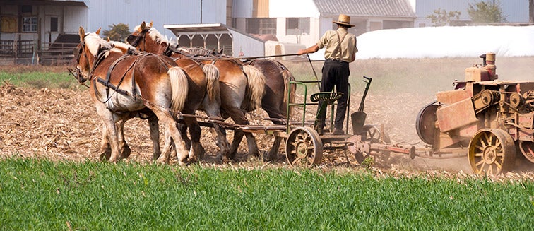 Tour packages to Amish Country from USA | Exoticca